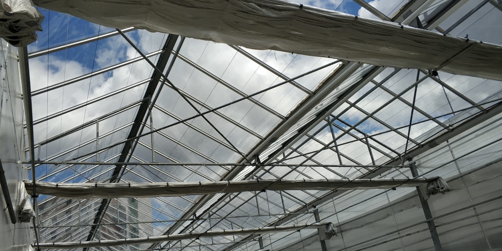 Greenhouse Project Preparation – BHK Greenhouse